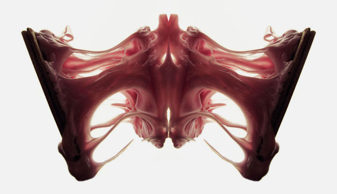 Noga Manor: Tensile – Daily Impulse